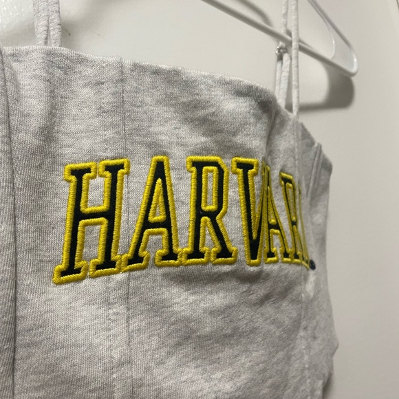 Zara | Tops | Zara X Harvard Embroidered Lightly Boned Corset Tank Top ...